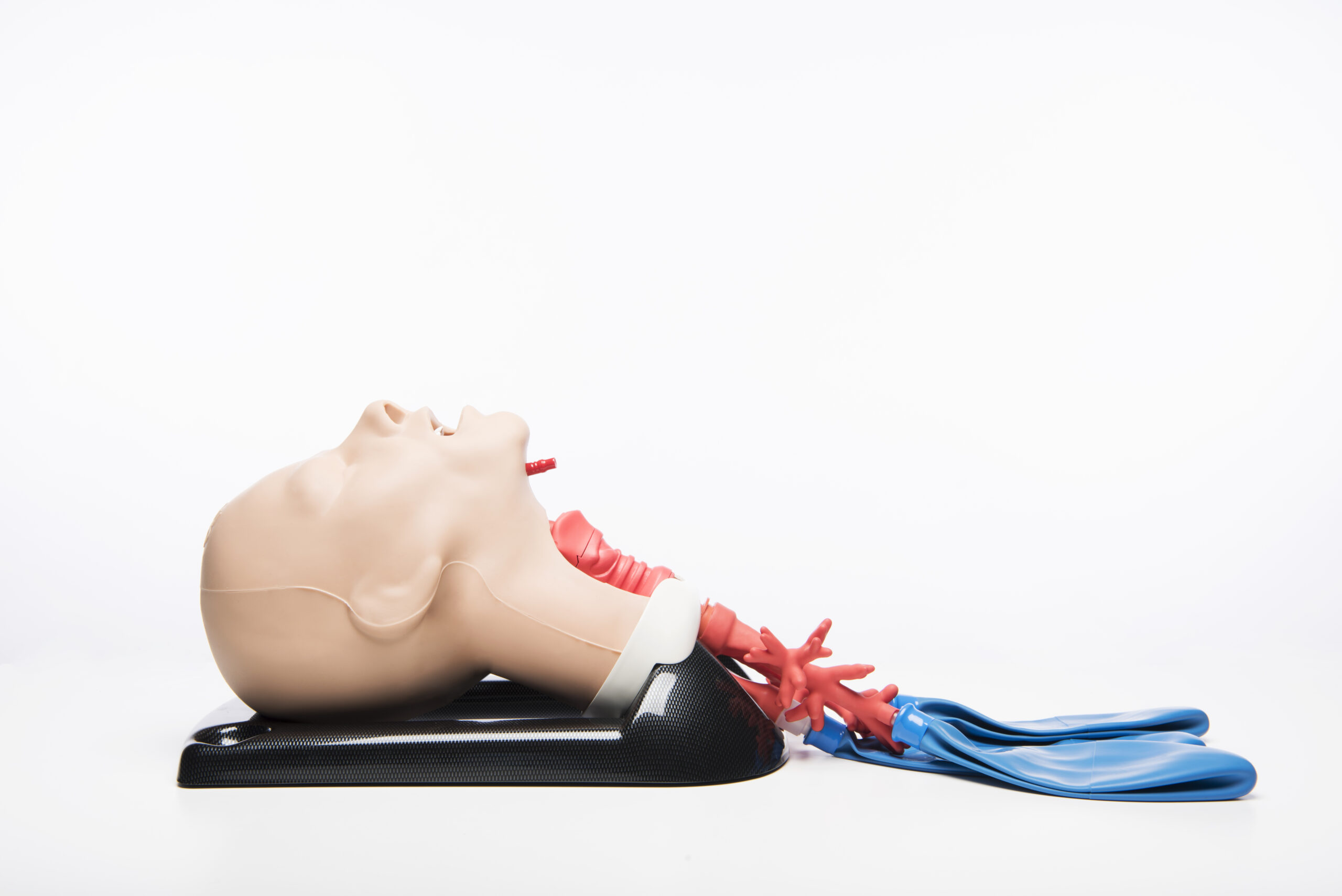 Gestion des voies aériennes - AirSim | Twin Medical